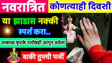 नवरात्रीत कोणत्याही दिवशी फक्त एकदा या वृक्षास स्पर्श करा तत्काळ गरीबी