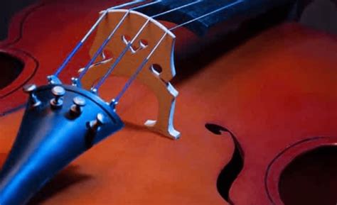 Top 7 Des Marques De Violoncelle En 2025 Les Clés De La Musique
