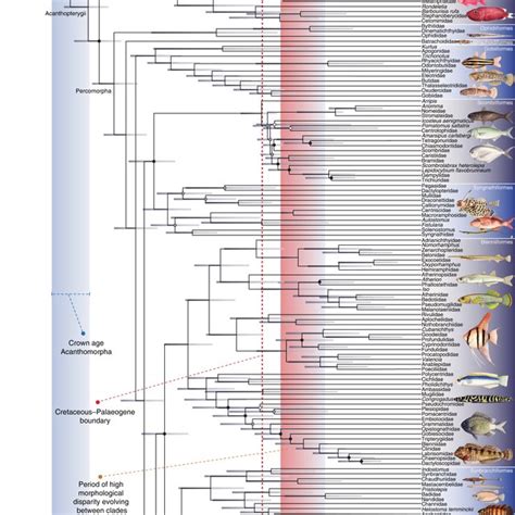 Nature Ecology Evolution