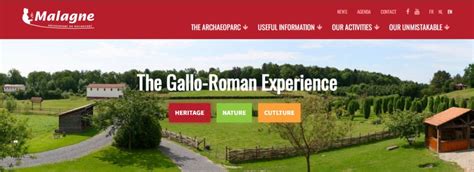 Cervoise Barley Beer An Experimental Drink Agricultural Museums