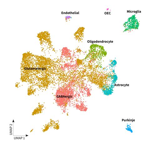 Performance Of Evercode™ Wt In Adult Mouse Brain Cells Parse Biosciences