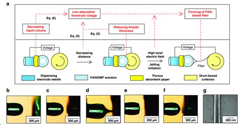Electrostatic Jet Initiation During Near Field Electrospinning A Download Scientific Diagram