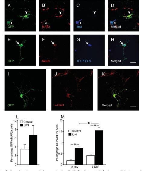Figure 4 From Embryonic Stem Cellsinduced Pluripotent Stem Cells