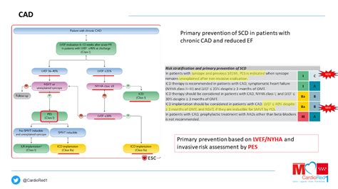 2022 Esc Guidelines Ventricular Arrhythmias And Prevention Of Sudden