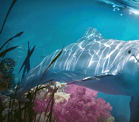 Siegfried And Roys Secret Garden And Dolphin Habitat Behance