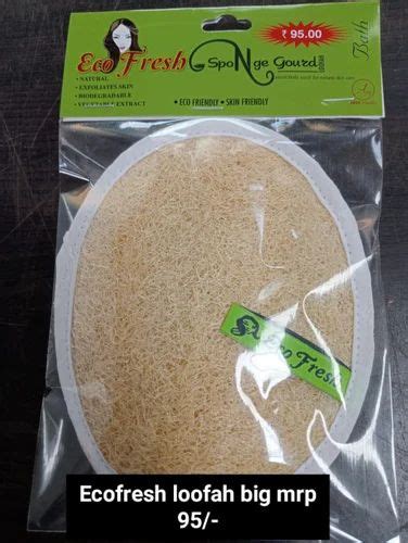 Solid Eco Fresh Sponge Gourd Loofah For Bath Round At ₹ 95piece In