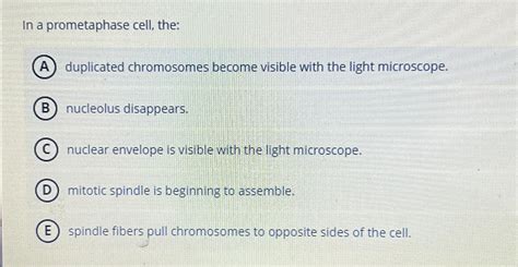 Solved In A Prometaphase Cell Theduplicated Chromosomes