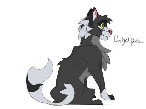 Warrior Cats Badgerpaw By Wildwolflegend On Deviantart