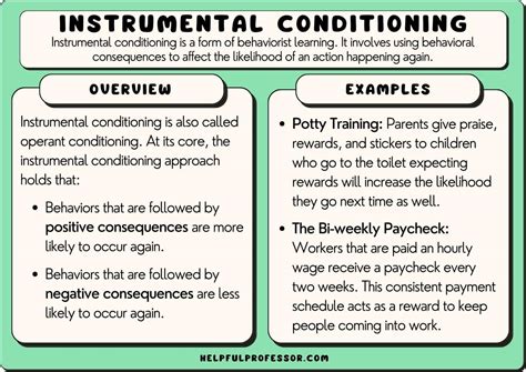 Instrumental Conditioning 10 Examples And Definition