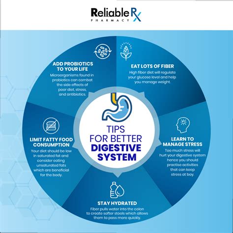 Tips For Better Digestive System Digestive System Healthy Digestive
