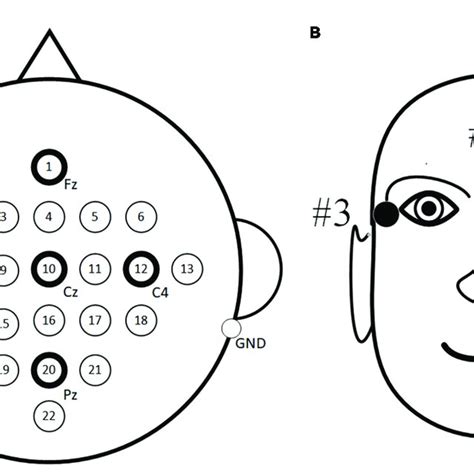 The Position Of Electrode A Electroencephalogram Eeg Electrode