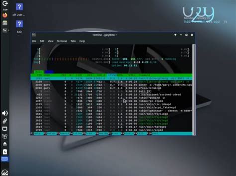 Linux Mint Vs MX Linux Which Popular Distro Should You Choose