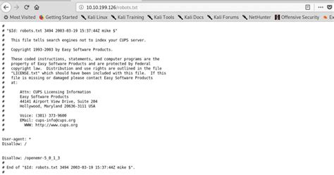 THM Write Up Simple CTF Planet DesKel