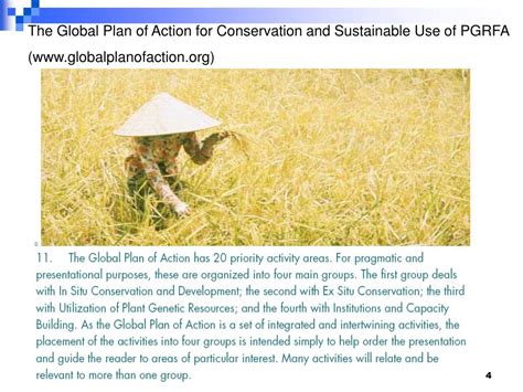 Ppt Conservation Of Plant Genetic Resources Powerpoint Presentation