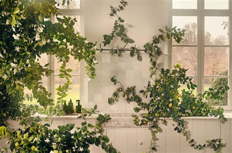 Allison Terry On Linkedin Homecourt The Beauty Of Homecare