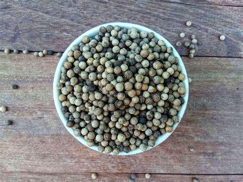 Coriander Have Many Benefits To Healthy Stock Image Image Of Aromatic