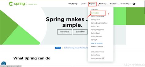 Springboot（1）——创建springboot项目的方式spring Boot 阿里云maven Csdn博客