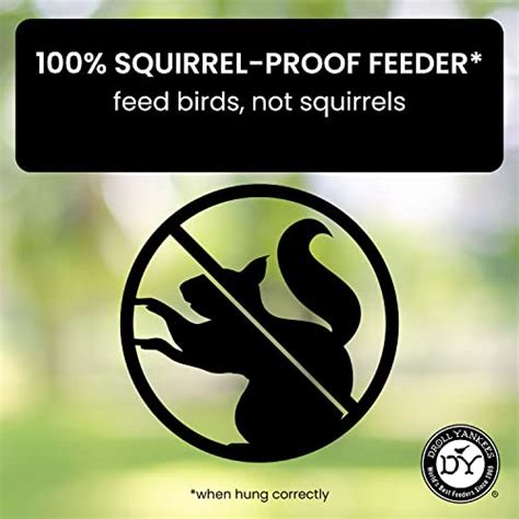 Squirrel Spinning Bird Feeder How It Works And Why You Need One