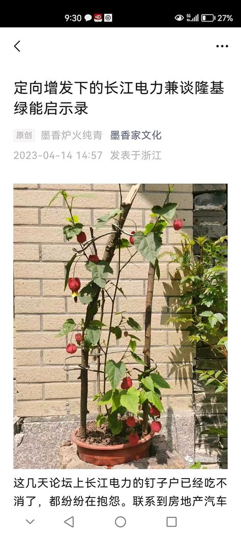 股市是国民经济的晴雨表，也有可能是发动机 提“要活跃资本市场”，我印象中还从来没有过。大家可能在想，现在老百姓手里都没有钱怎么消费呢？现在的钱