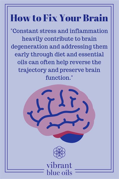 Fixing The Brain With Essential Oils Vibrant Blue Oils