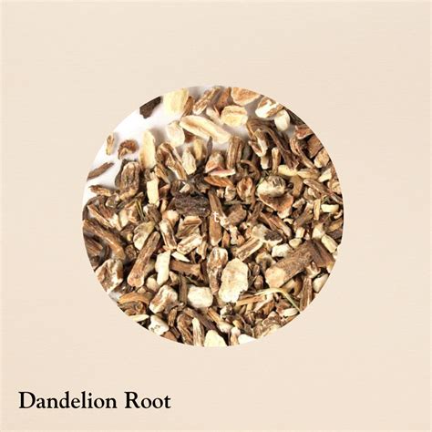 Dandelion Root The Good Shaman