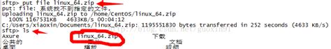 Securecrt 65从本地上传文件到linux虚拟机securecrt怎么将文件导进虚拟机 Csdn博客