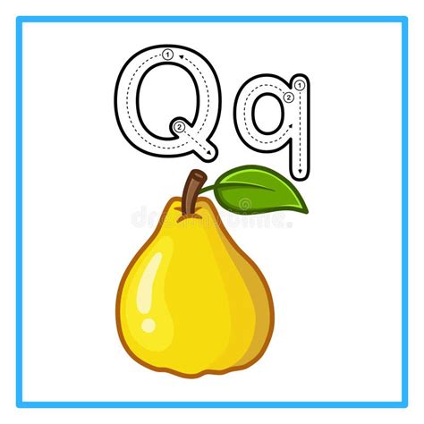 Tracing Alfabet Fresh Quince Illustration Stock Vector Illustration