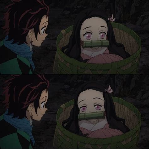 If Youre Ever Having A Bad Day Just Look At Smol Nezuko R
