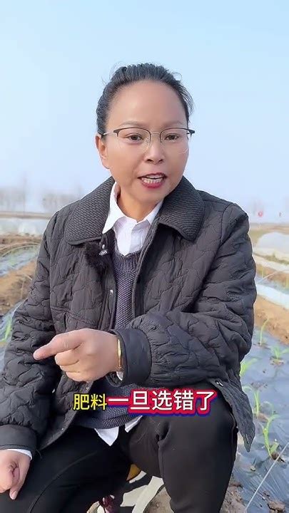 春玉米种植 肥料该怎么选三农 农业种植 玉米种植 玉米高产 玉米 Youtube