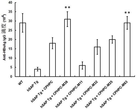 Adipamide D Hydroxyproline Derivative And Application Thereof As