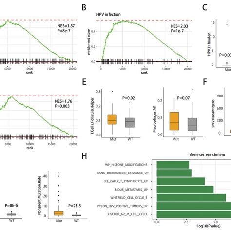 Enrichment Analysis Of Gts In Tcga Cohort A Gsea Enrichment Plot Of