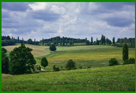 Benefits Of Barcoding Speed And Efficiency