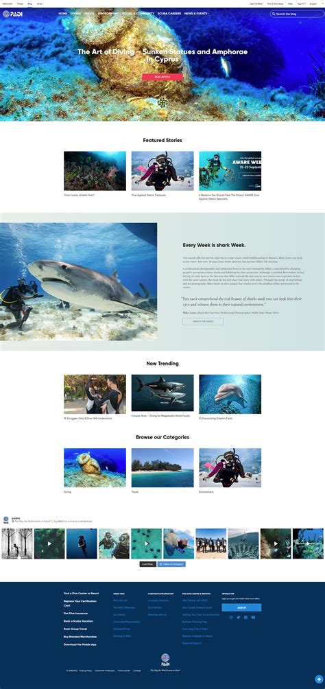 Padi Blog Duck Diver Marketing