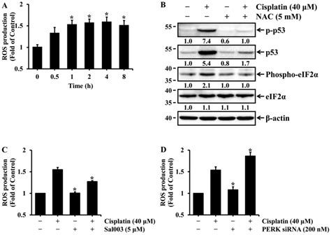International Journal Of Molecular Medicine