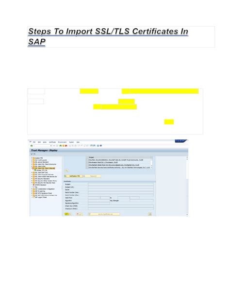 Steps To Import Ssl Certificate In Sap 1735215491 Pdf