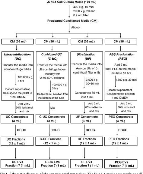 Figure 1 From Cushioned Density Gradient Ultracentrifugation C Dguc Improves The Isolation