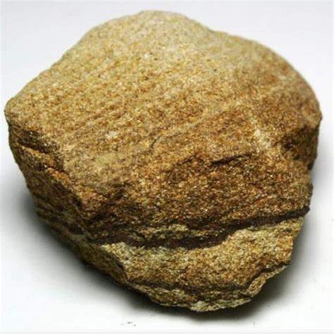 Sandstone Sedimentary Rock Wbanding 10 Unpolished Mineral Etsy
