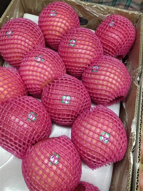 The Best 2022 New Fresh Apple With Fresh Apples From Apple Gardens For