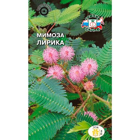 Купить Мимоза Лирика 0,1гр недорого по цене 26руб.|Garden-zoo.ru
