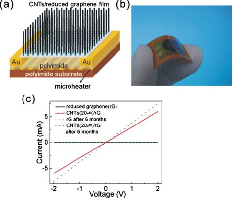 Flexible Room Temperature No2 Gas Sensors Based On Carbon Nanotubes