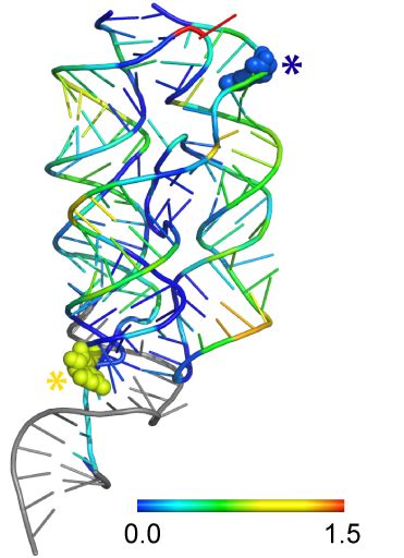 rna structure 3d