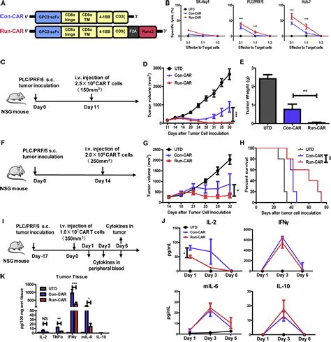 Enforced Expression Of Runx3 Improved CAR T Cell Potency In Solid Tumor