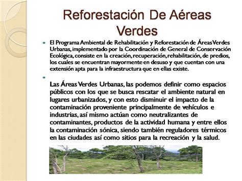 Erick Falta De Cultura Ambiental