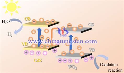 三氧化钨复合光催化剂用于高效光催化制氢厦门中钨在线科技有限公司