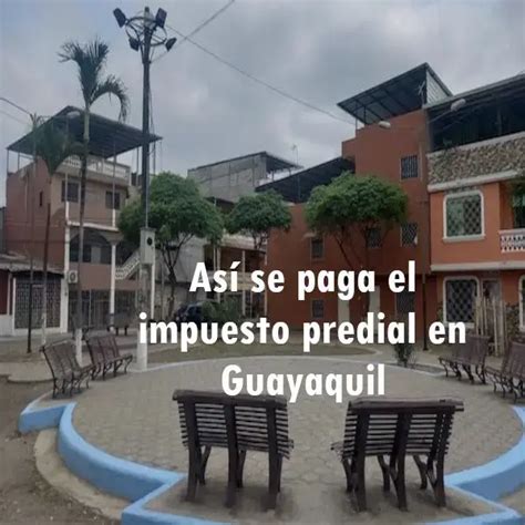 Así Se Paga El Impuesto Predial En Guayaquil 2025 Elyex