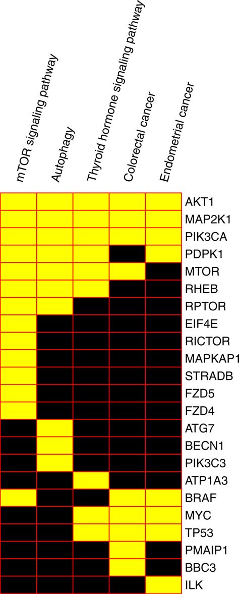 Perturbation Gene Targets In Enriched Pathways Yellow Squares Indicate