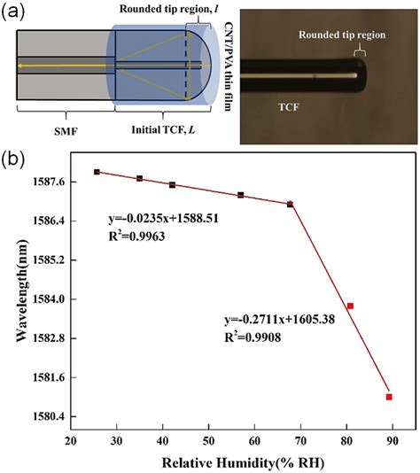 Point Sensor A Schematic Of The Sensor Head And Micrograph Of The Download Scientific