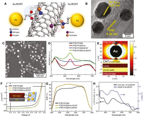 Illustration Of Au Np Modified Nitrogen Or Boron Doped Carbon Nanotubes