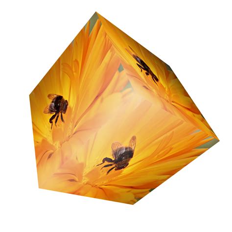 Explore 112 Free Bee Background Illustrations Download Now Pixabay