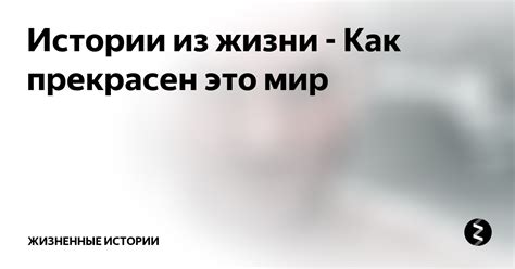 Истории из жизни Как прекрасен это мир Жизненные истории Дзен